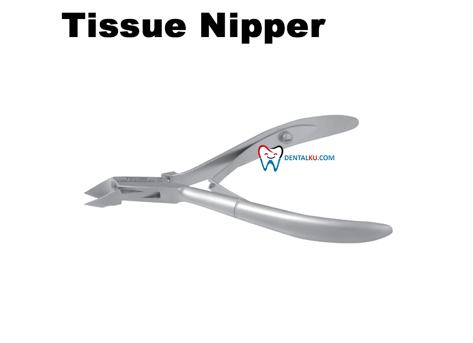 Nipper | Bone Rongeurs - Nippers - Bone Files - Mallets - Tissue Plier ...