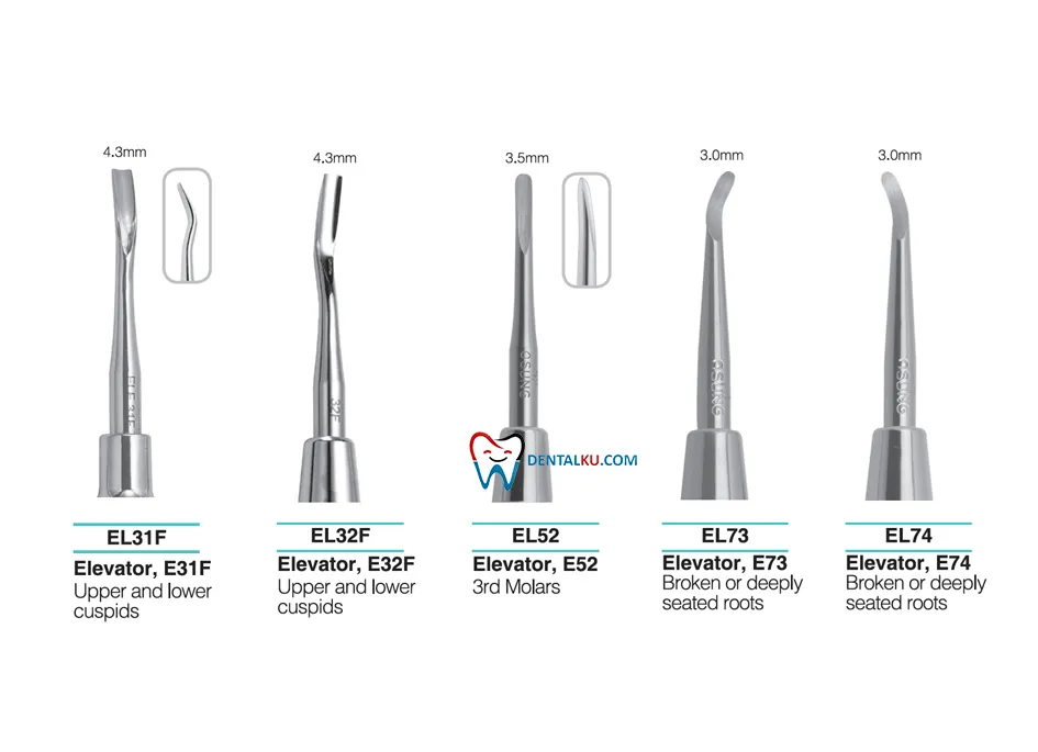 Elevator (Bein) | Elevators (Bein) | DENTALKU.COM