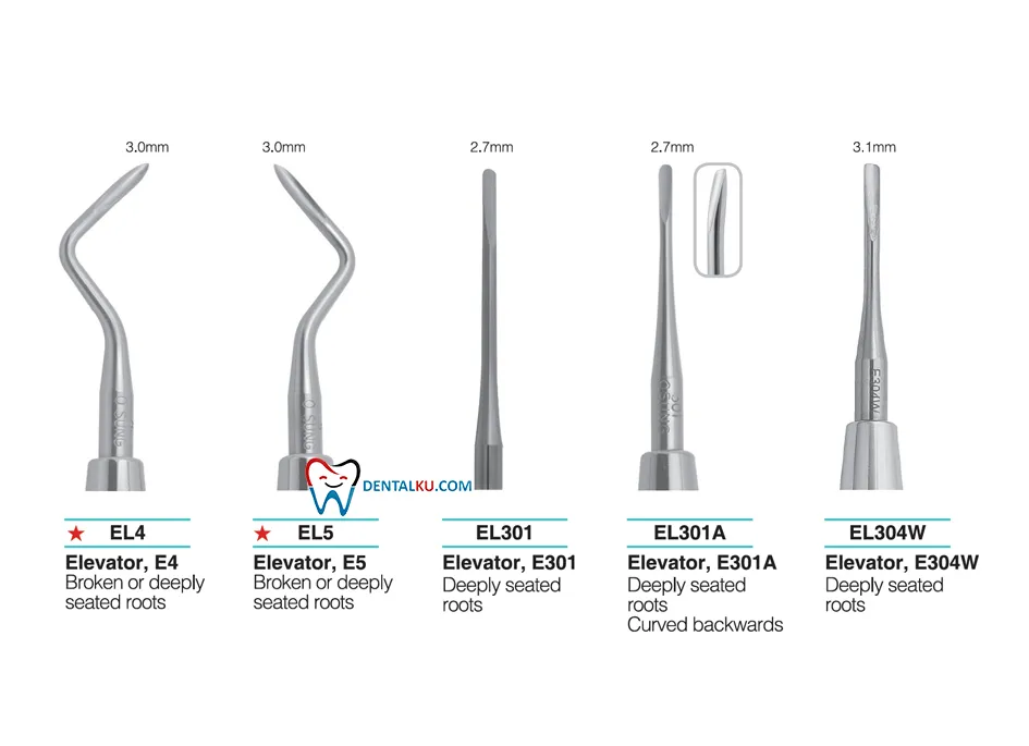 Elevator (Bein) | Elevators (Bein) | DENTALKU.COM