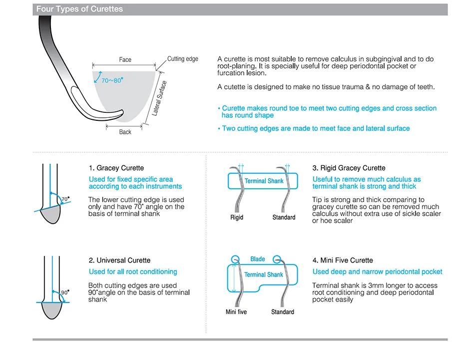 Gracey Curettes - Standard | Curette | DENTALKU.COM