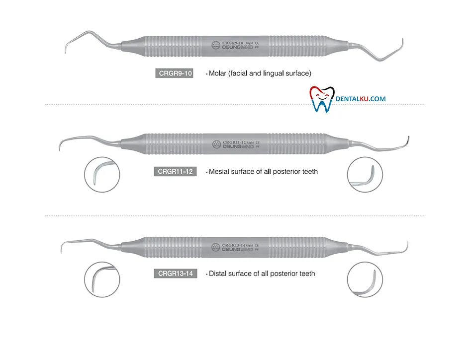 Rigid Gracey Curettes | Curette | DENTALKU.COM