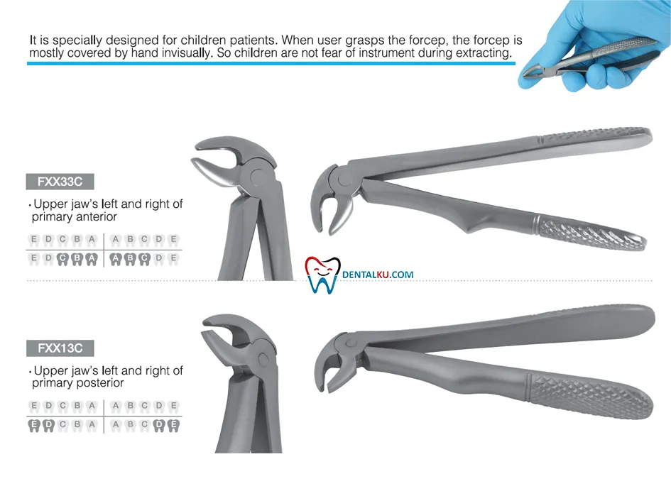 Pedo Extraction Forceps | Extraction Forceps | DENTALKU.COM