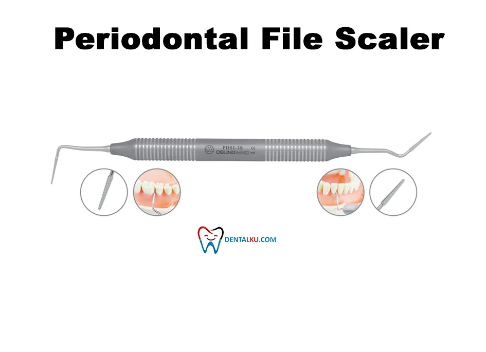 Periodontal File Scaler | Scaler | DENTALKU.COM