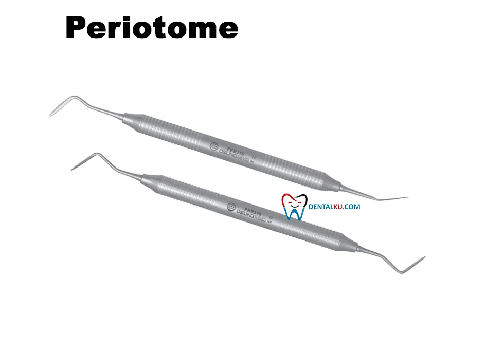 Periotome | Periotome - Periosteal Elevators (Raspatorium) | DENTALKU.COM