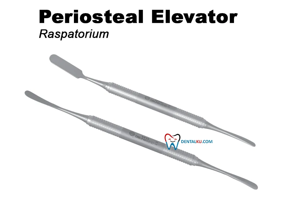 Periosteal Elevator | Periotome - Periosteal Elevators (Raspatorium ...
