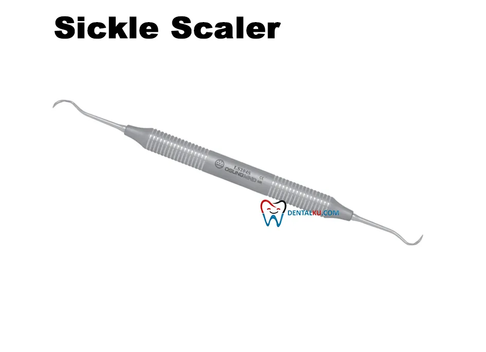 Sickle Scaler | Scaler | DENTALKU.COM