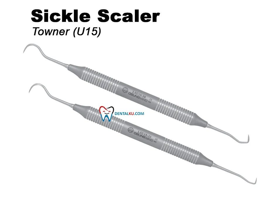 Sickle Scaler (Towner - U15) | Scaler | DENTALKU.COM