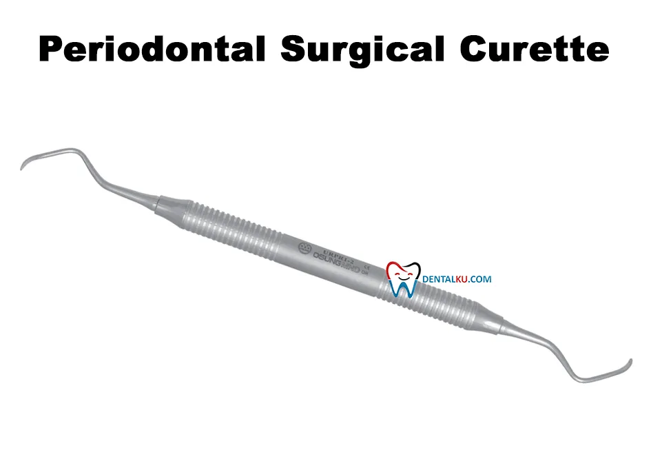 Periodontal Surgical Curette | Periodontal Surgery | DENTALKU.COM