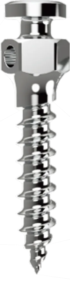 Orthodontic Fixation Screw Titanium - Standard | Orthodontic Mini Screw ...